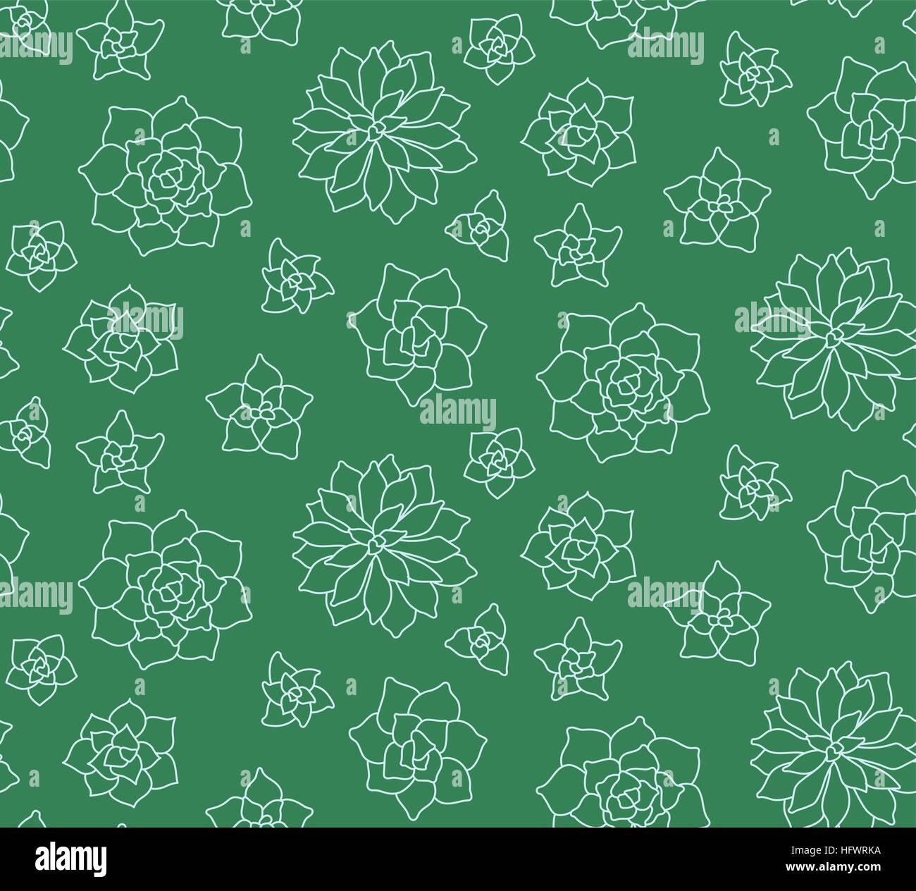 Succulent line drawing hi-res stock photography and images - Alamy