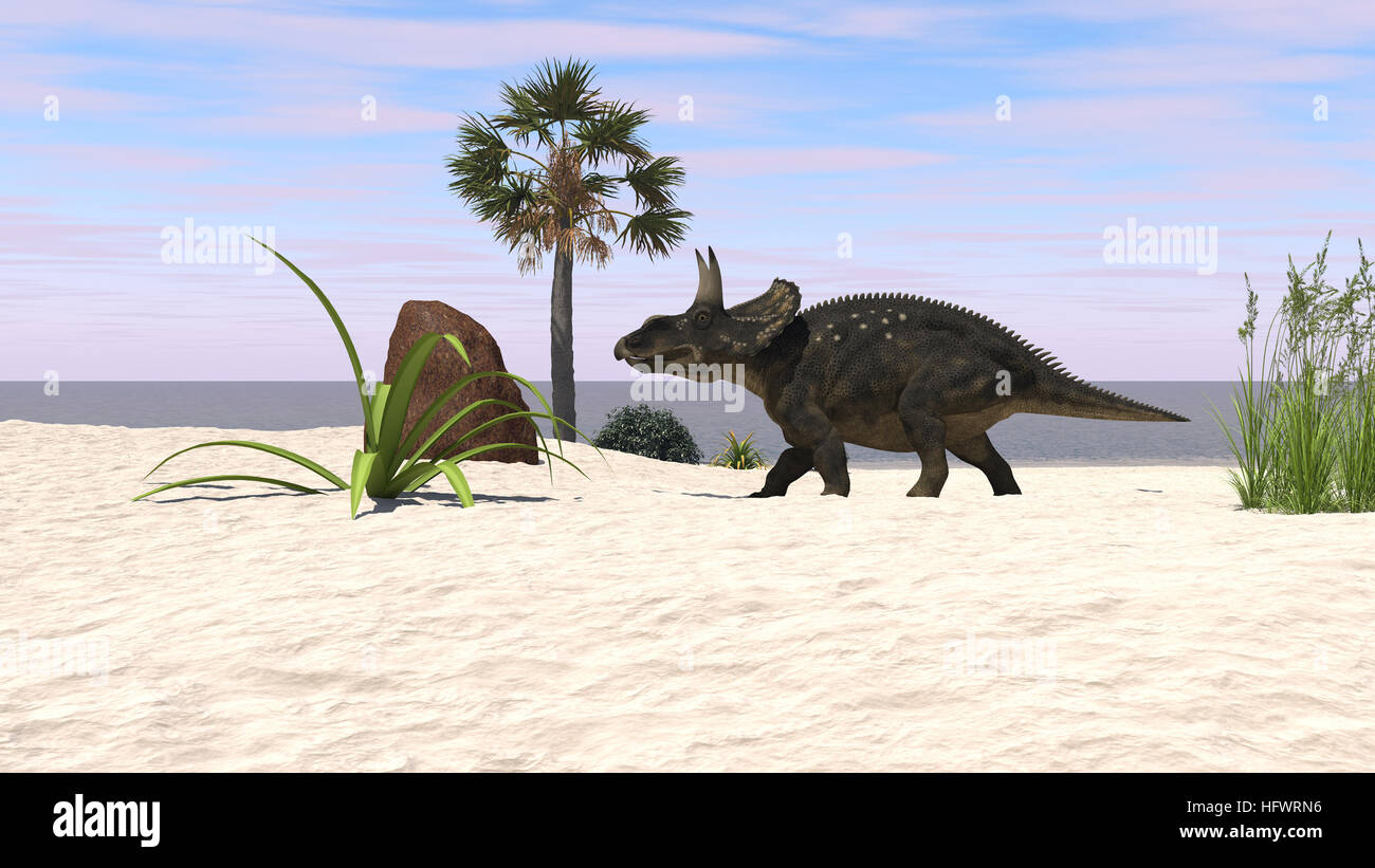 3d rendering of the walking diceratops Stock Photo - Alamy