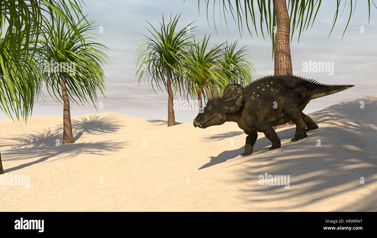 3d rendering of the walking diceratops Stock Photo - Alamy