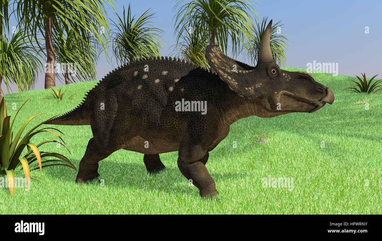 Diceraptor hi-res stock photography and images - Alamy