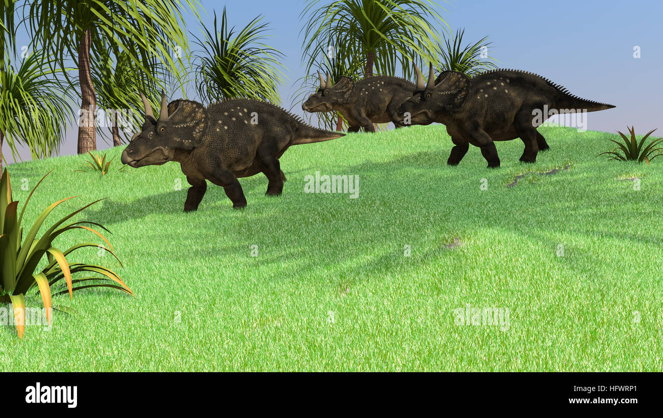 Diceraptor hi-res stock photography and images - Alamy