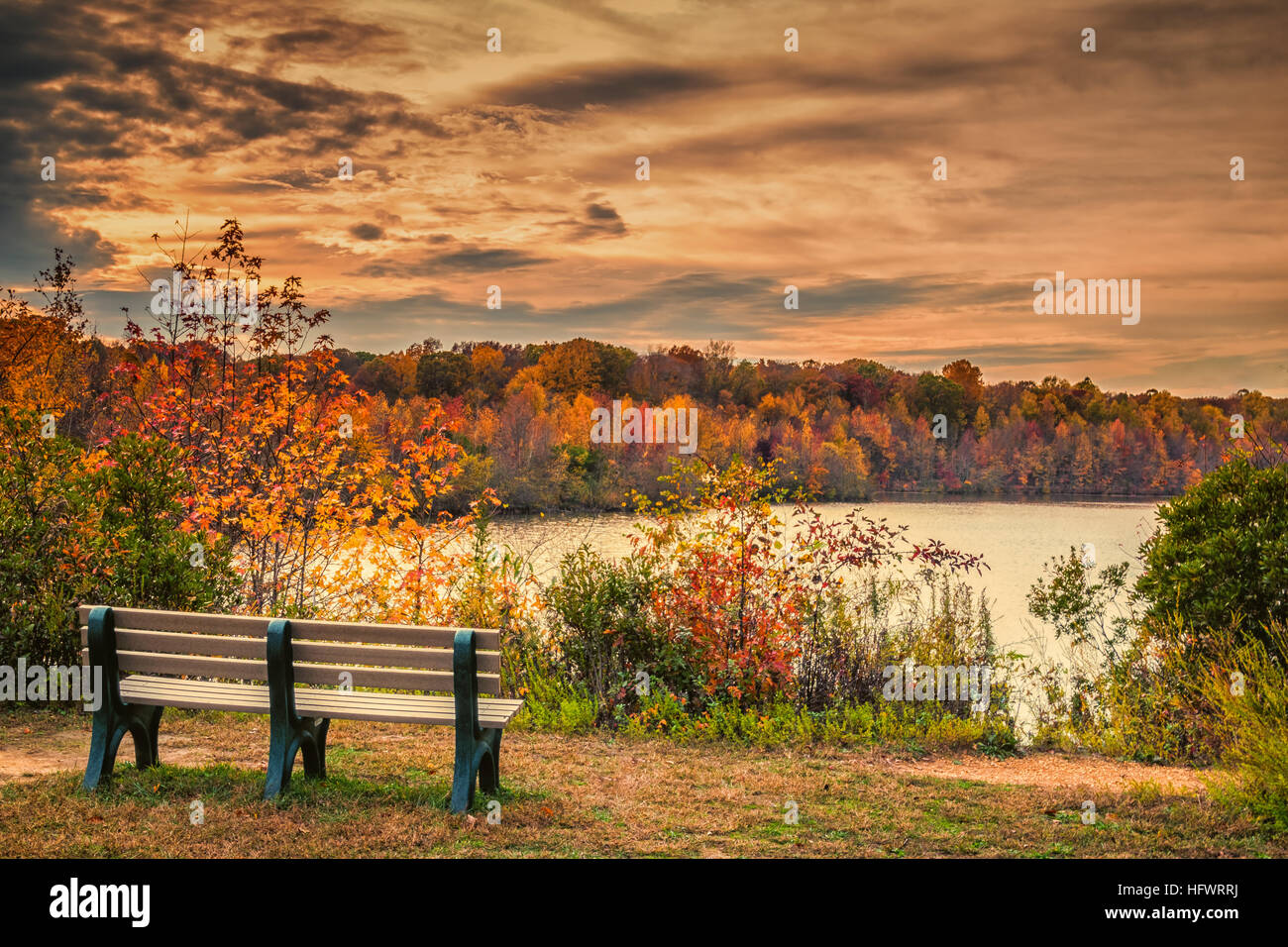 This bench was certainly placed strategically. It is an invitation to ...