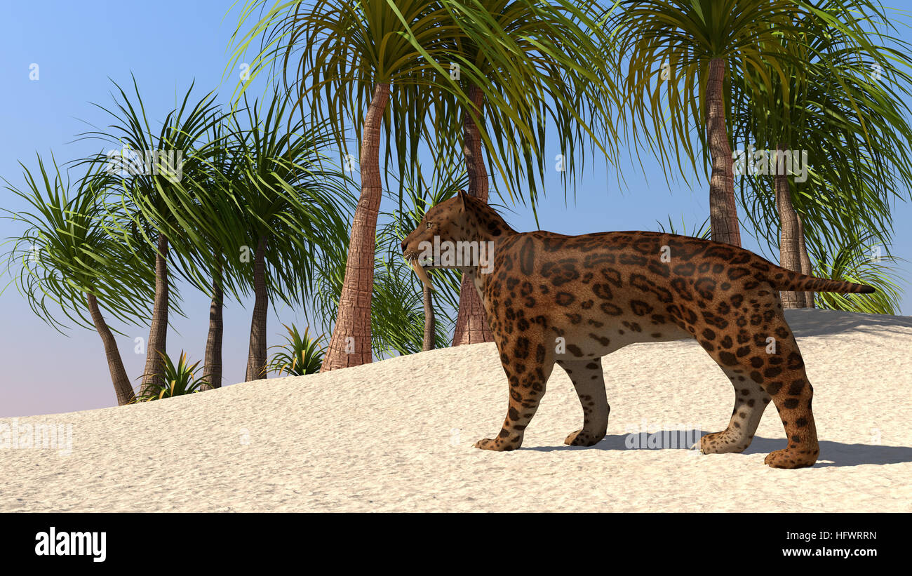 Sabertooth tiger hi-res stock photography and images - Alamy