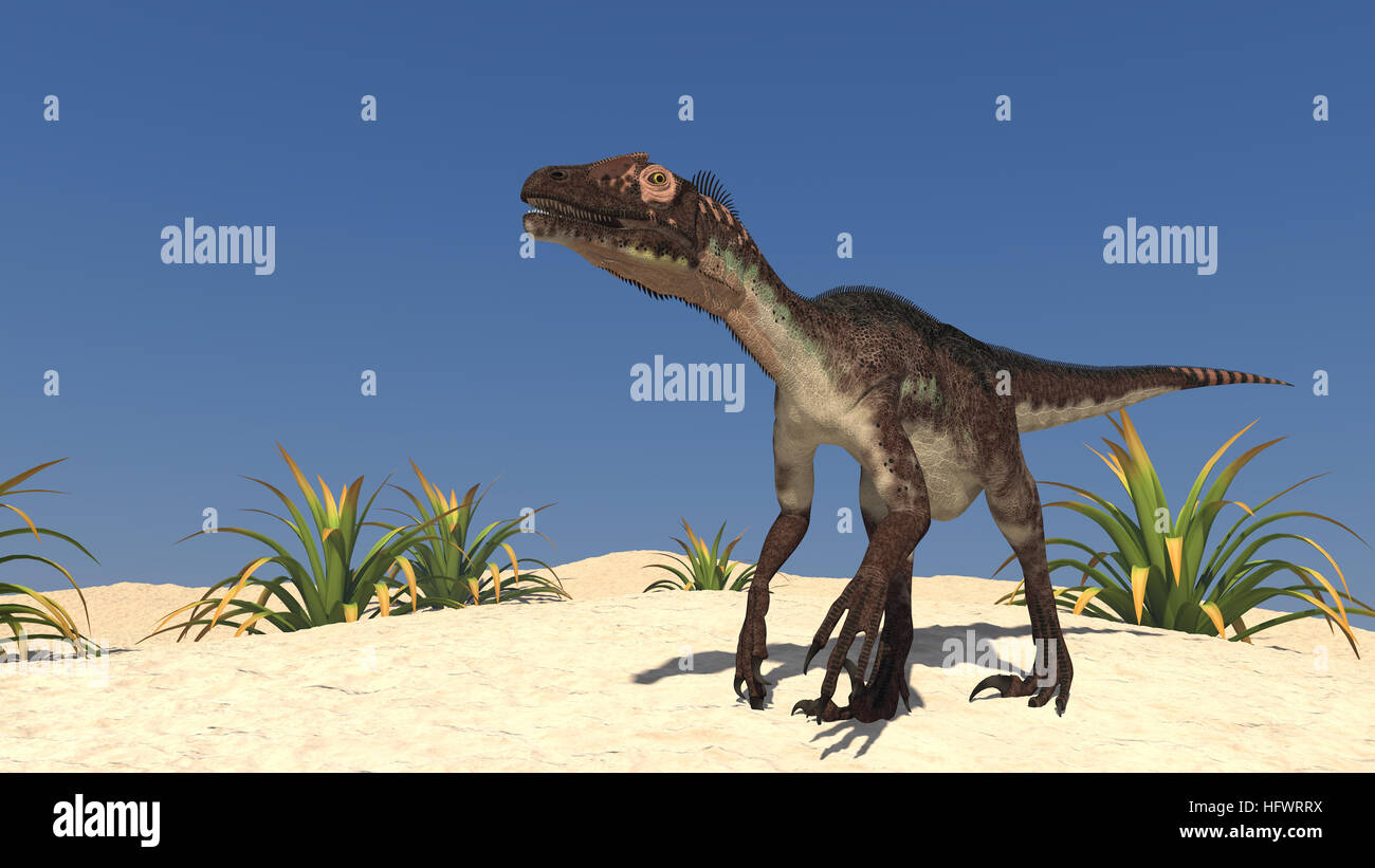 Utahraptor teeth hi-res stock photography and images - Alamy