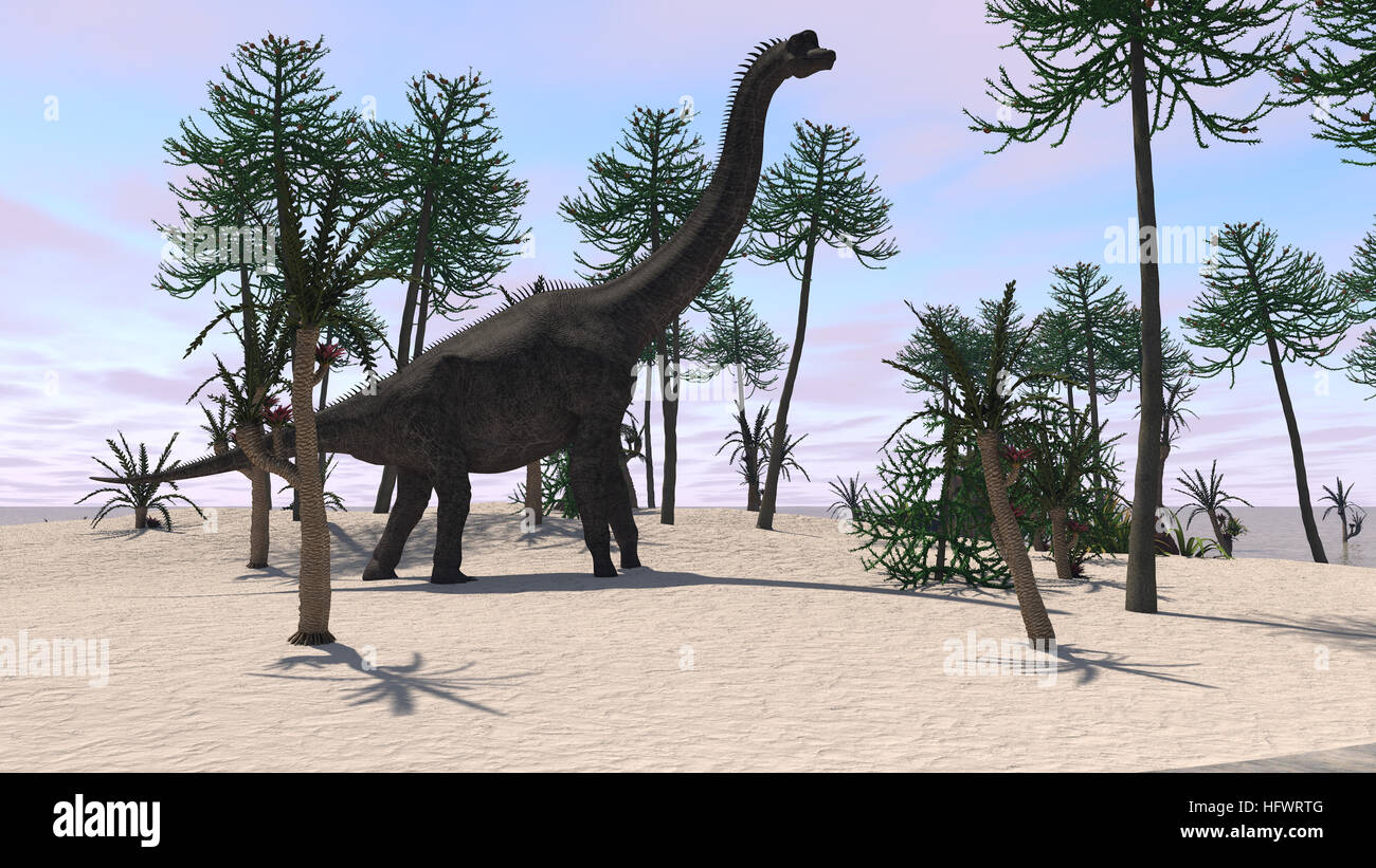 3d illustration of the walking brachiosaurus Stock Photo - Alamy