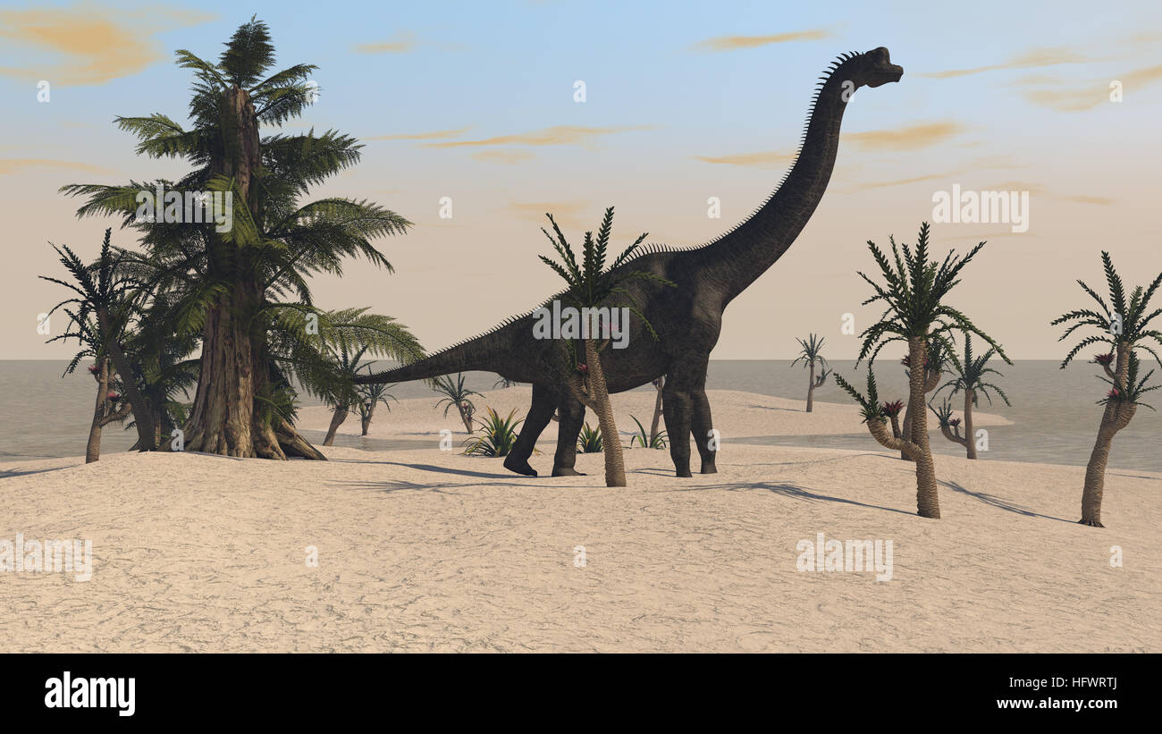3d illustration of the walking brachiosaurus Stock Photo - Alamy