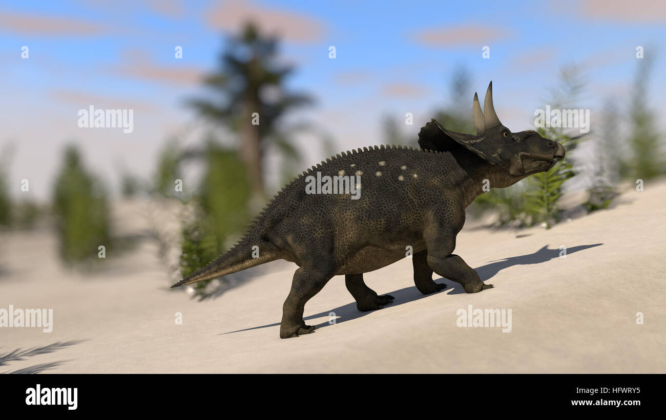 3d rendering of the walking diceratops Stock Photo - Alamy