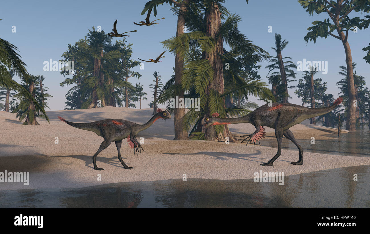 Gigantoraptor fossil hi-res stock photography and images - Alamy