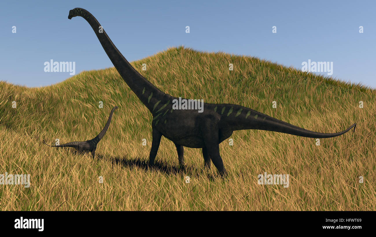 3d rendering of the mamenchisaurus dinosaur Stock Photo - Alamy