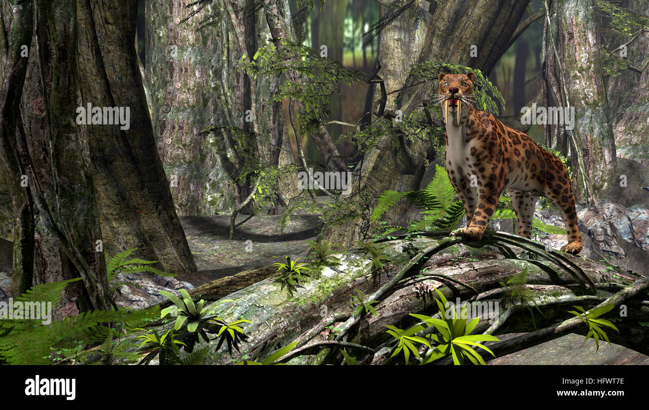 Sabertooth tiger hi-res stock photography and images - Alamy