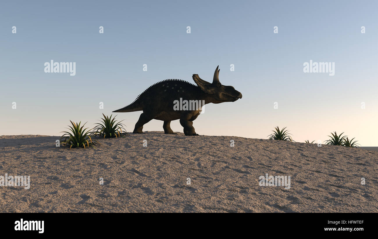 3d rendering of the walking diceratops Stock Photo - Alamy