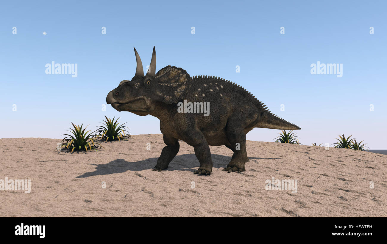 3d rendering of the walking diceratops Stock Photo - Alamy