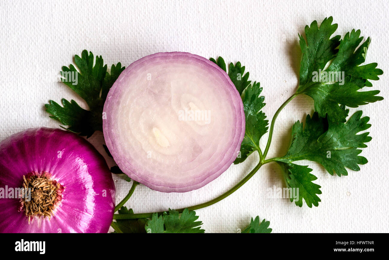 Onion Slices dressed with coriander leaves, white back ground, top view ...