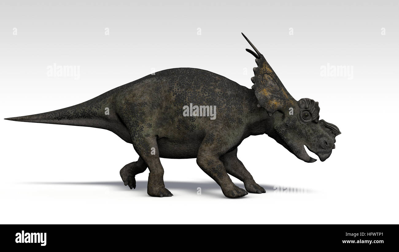 Achelousaurus hi-res stock photography and images - Alamy