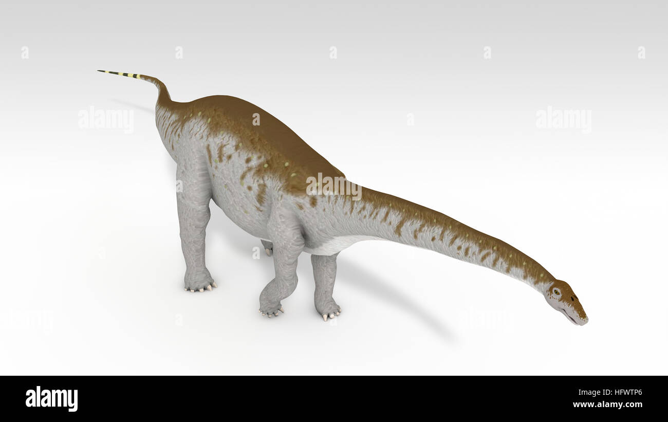 3d illustration of the apatosaurus isolated on white Stock Photo - Alamy