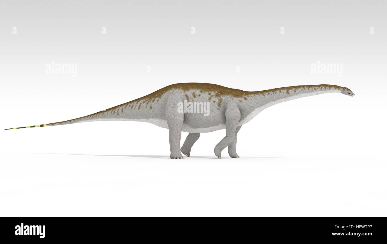 Apatosaurus Stock Photos & Apatosaurus Stock Images - Alamy