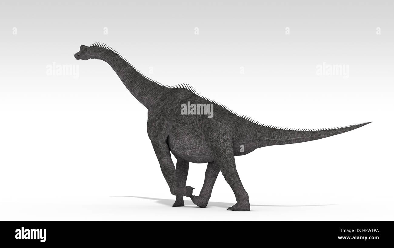 3d illustration of the brachiosaurus isolated on white Stock Photo - Alamy