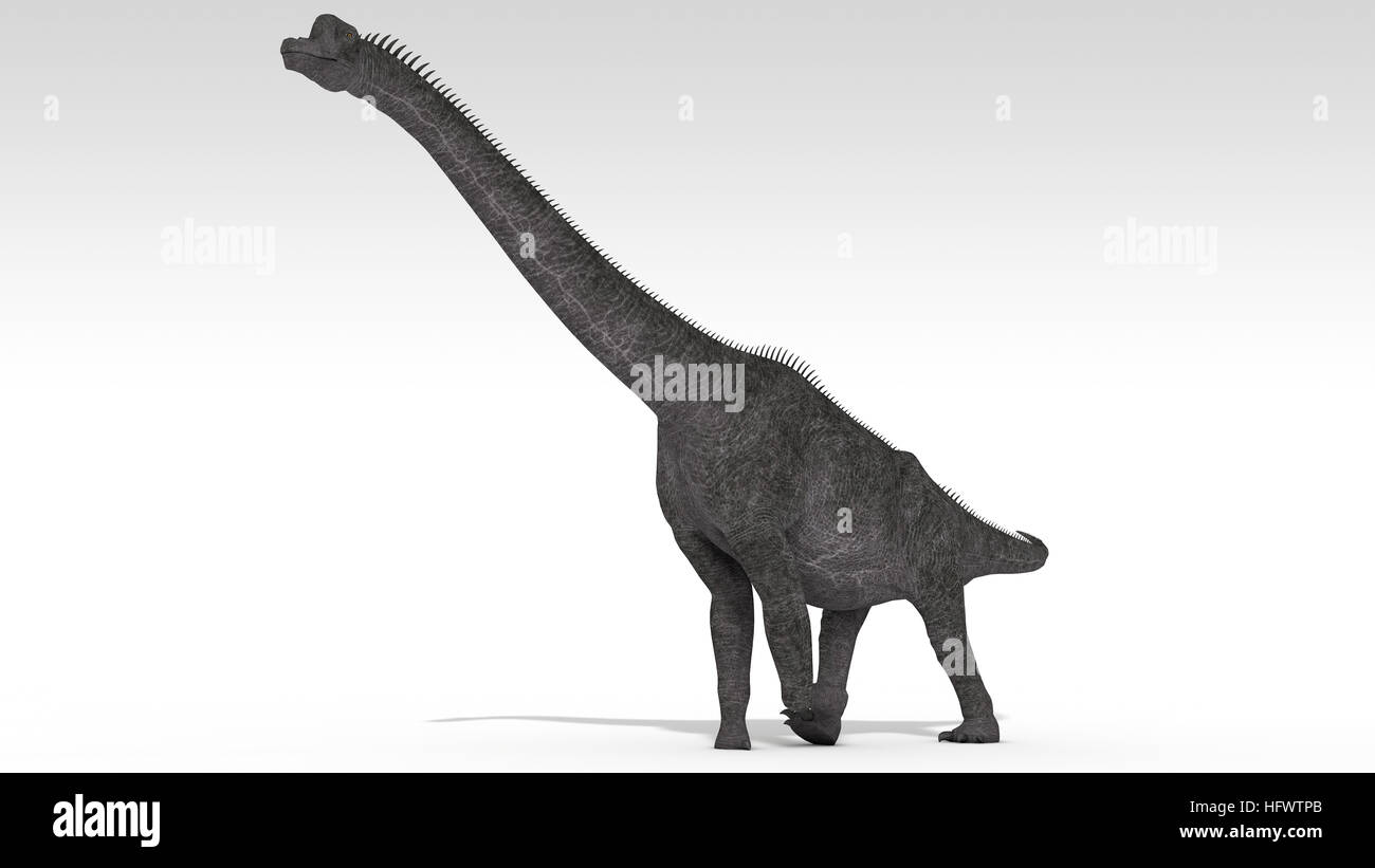 3d illustration of the brachiosaurus isolated on white Stock Photo - Alamy