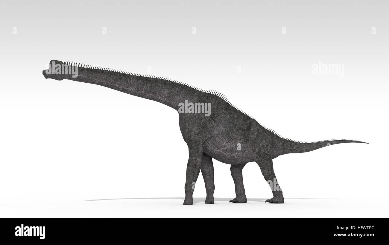 3d illustration of the brachiosaurus isolated on white Stock Photo - Alamy