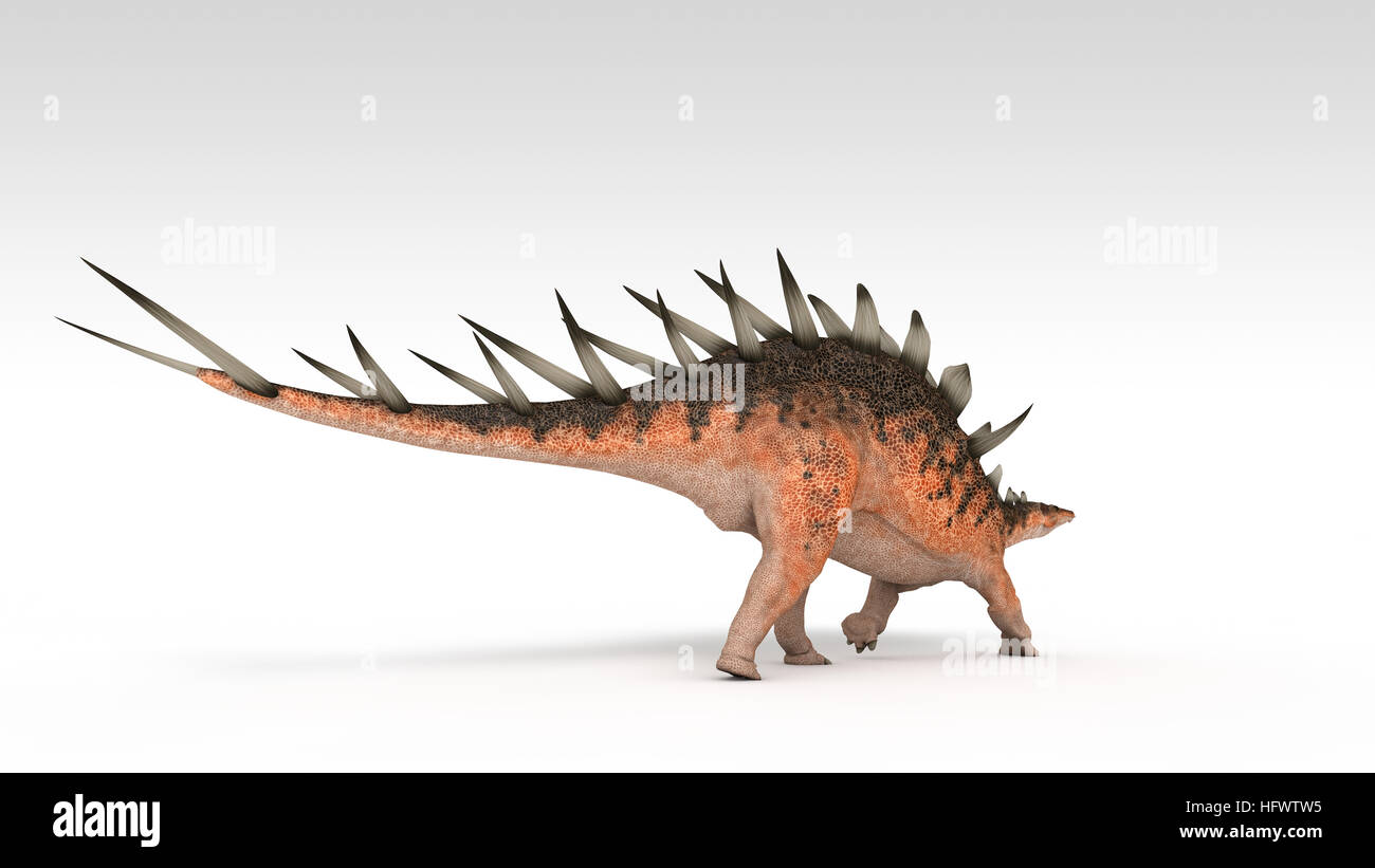 3d illustration of the kentrosaurus isolated on white Stock Photo - Alamy