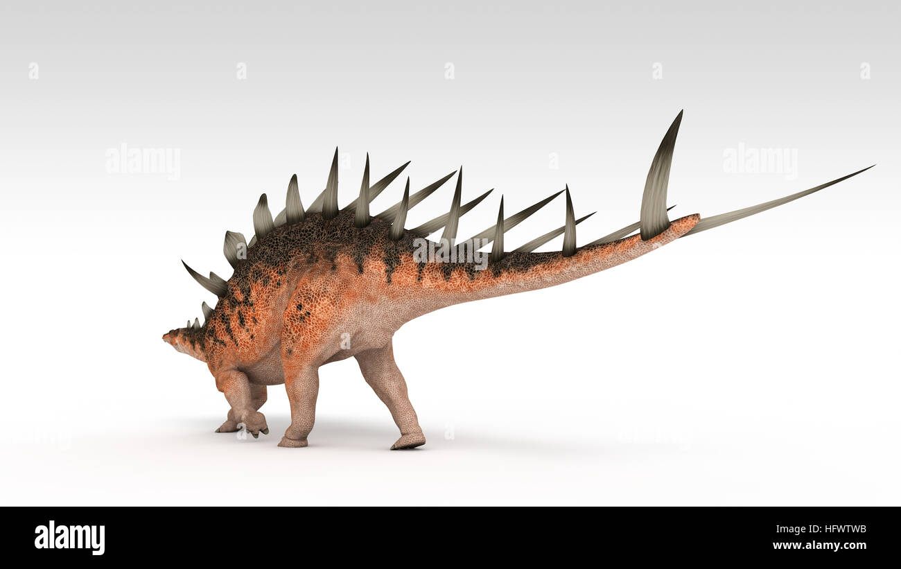 3d illustration of the kentrosaurus isolated on white Stock Photo - Alamy