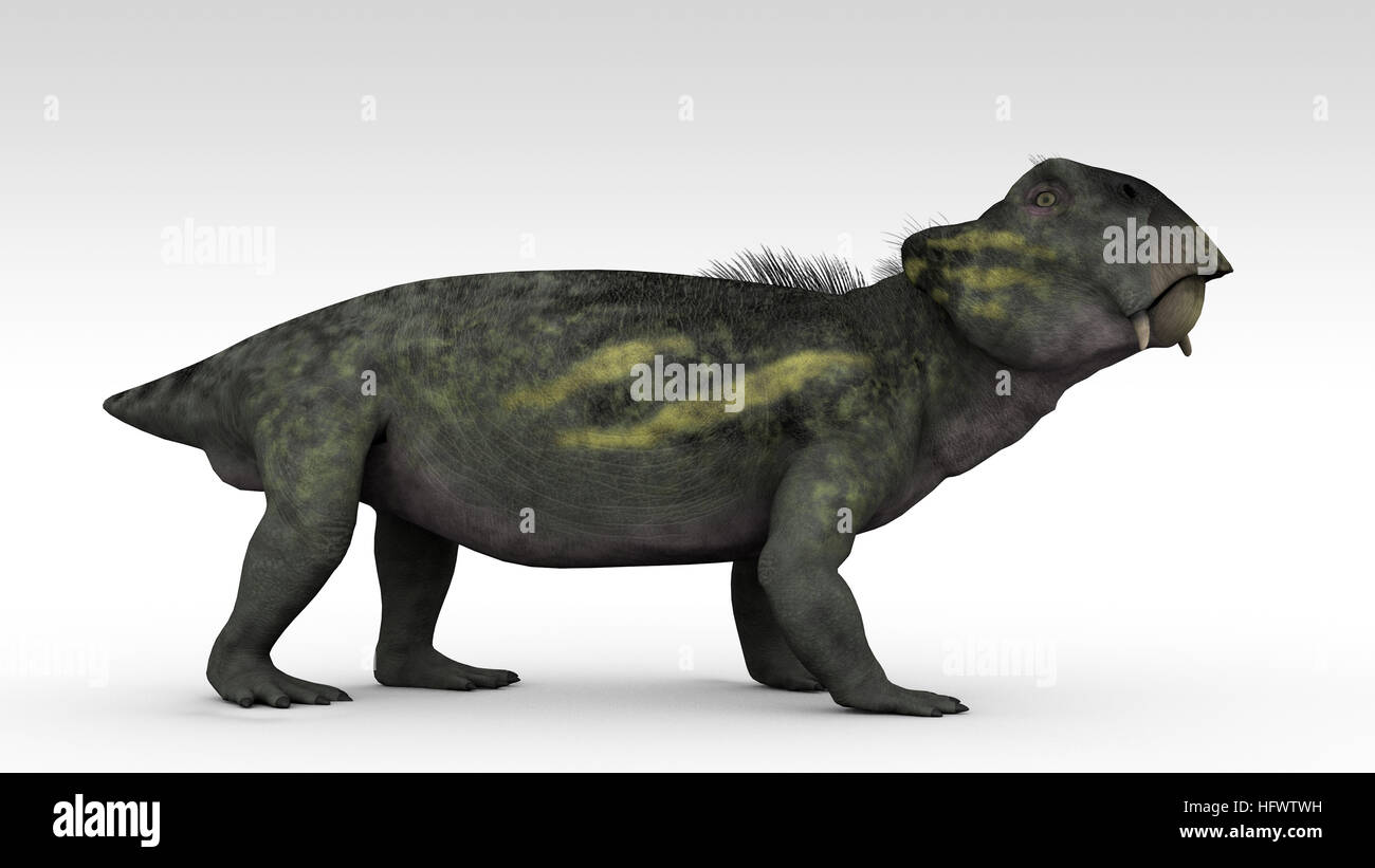 Lystrosaurus