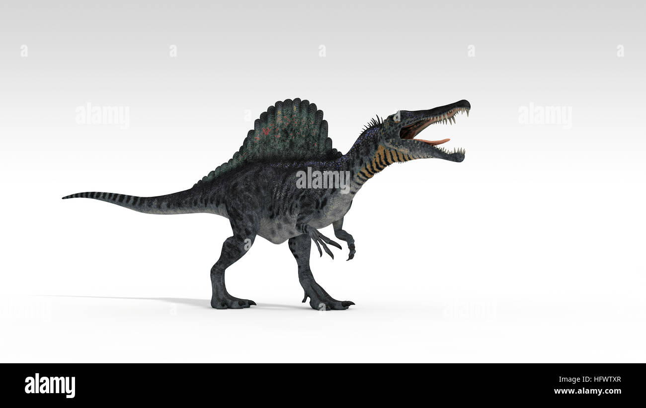 3d illustration of the spinosaurus isolated on white Stock Photo - Alamy