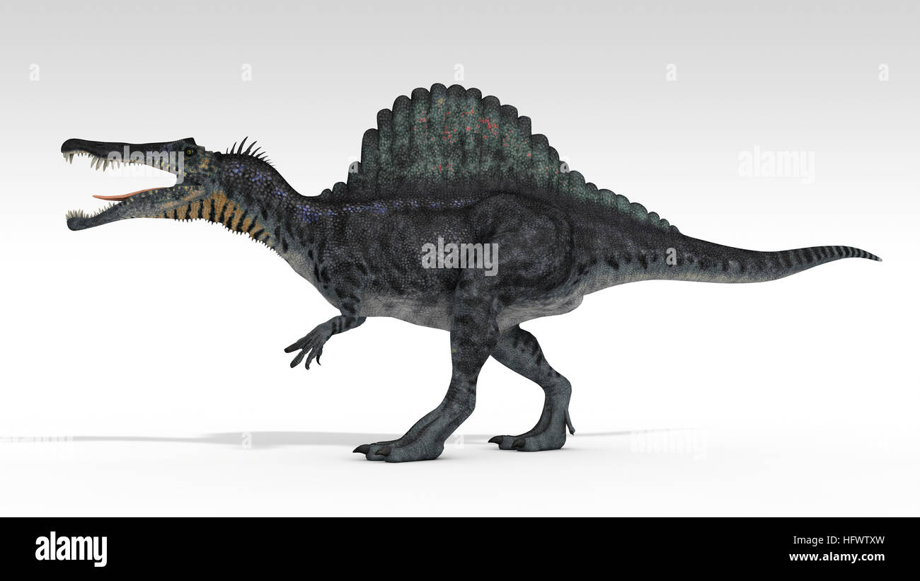 3d illustration of the spinosaurus isolated on white Stock Photo - Alamy