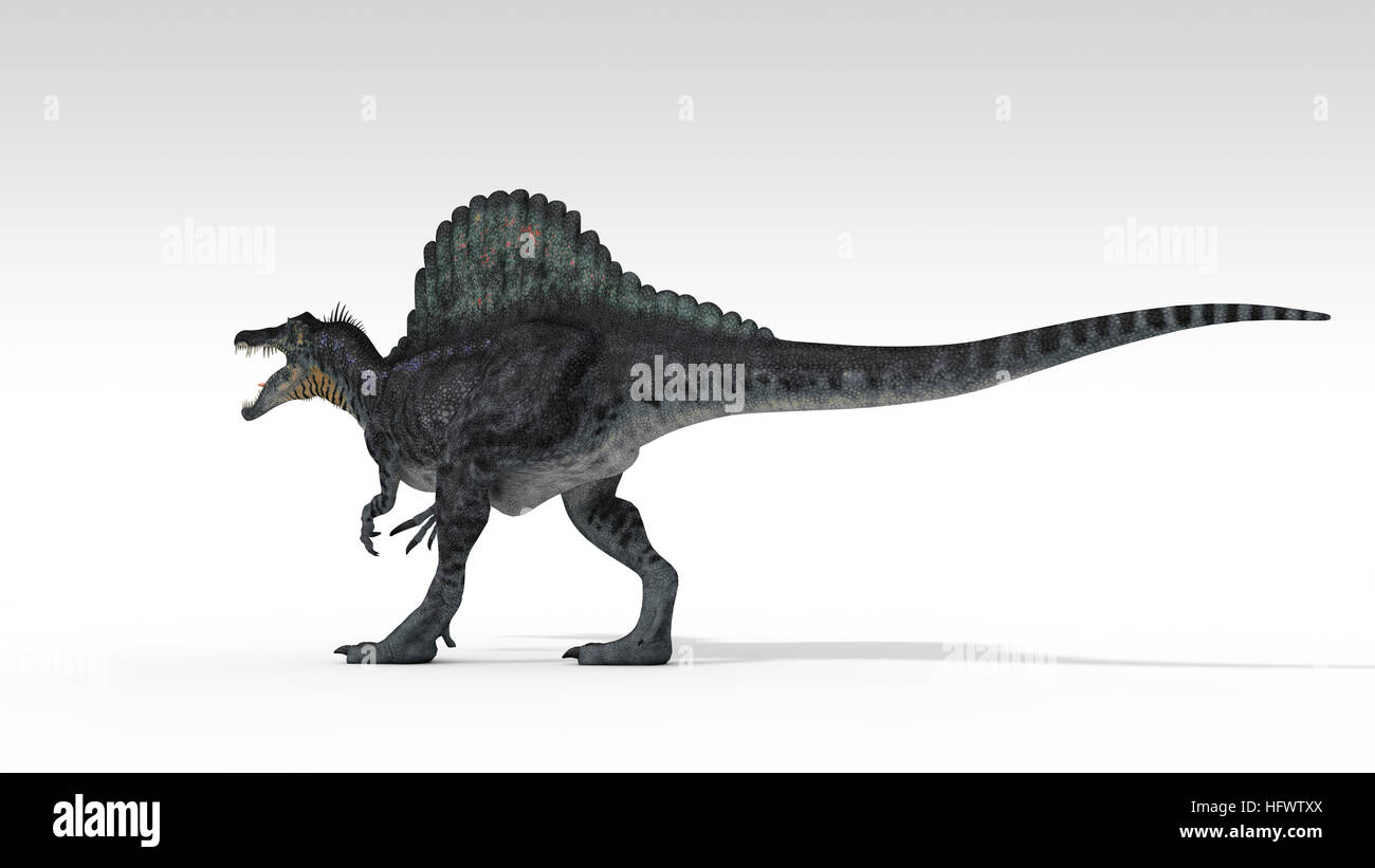 3d illustration of the spinosaurus isolated on white Stock Photo - Alamy