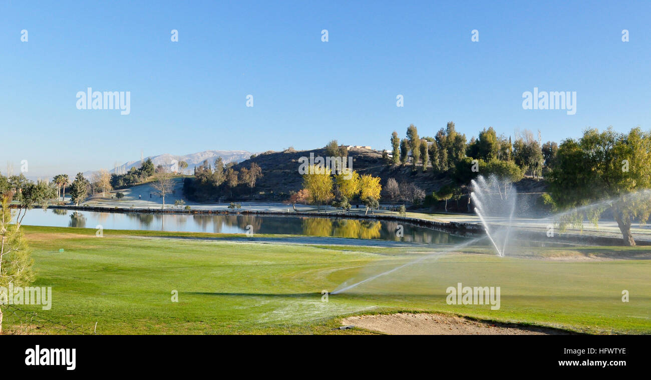 Sprinklers watering on a golf course Stock Photo - Alamy