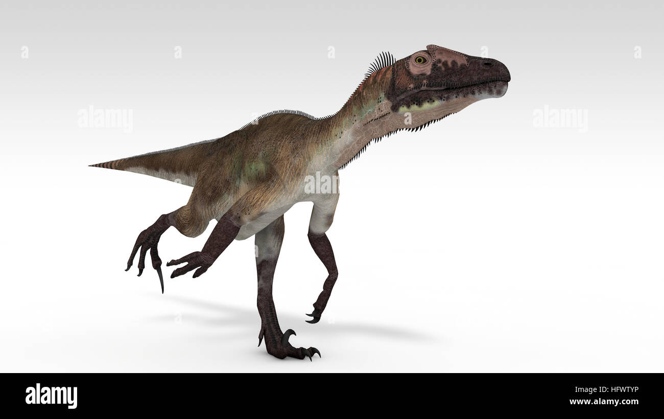 Utahraptor fossil hi-res stock photography and images - Alamy