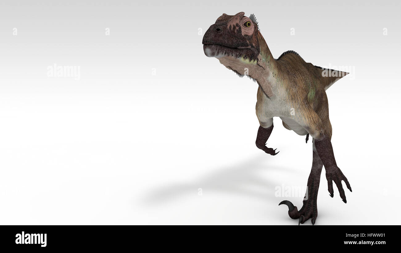 Utahraptor fossil hi-res stock photography and images - Alamy