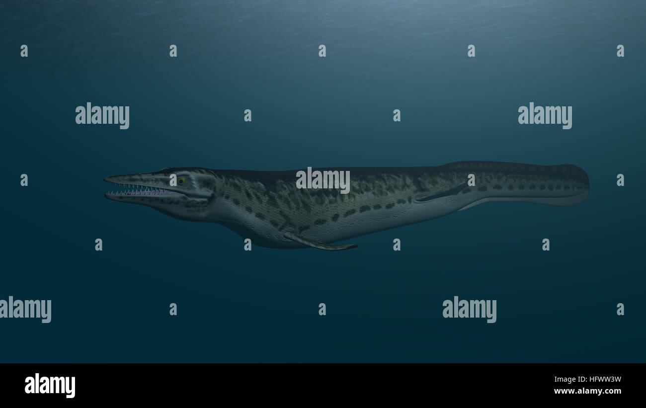 Mosasaurus swimming hi-res stock photography and images - Alamy