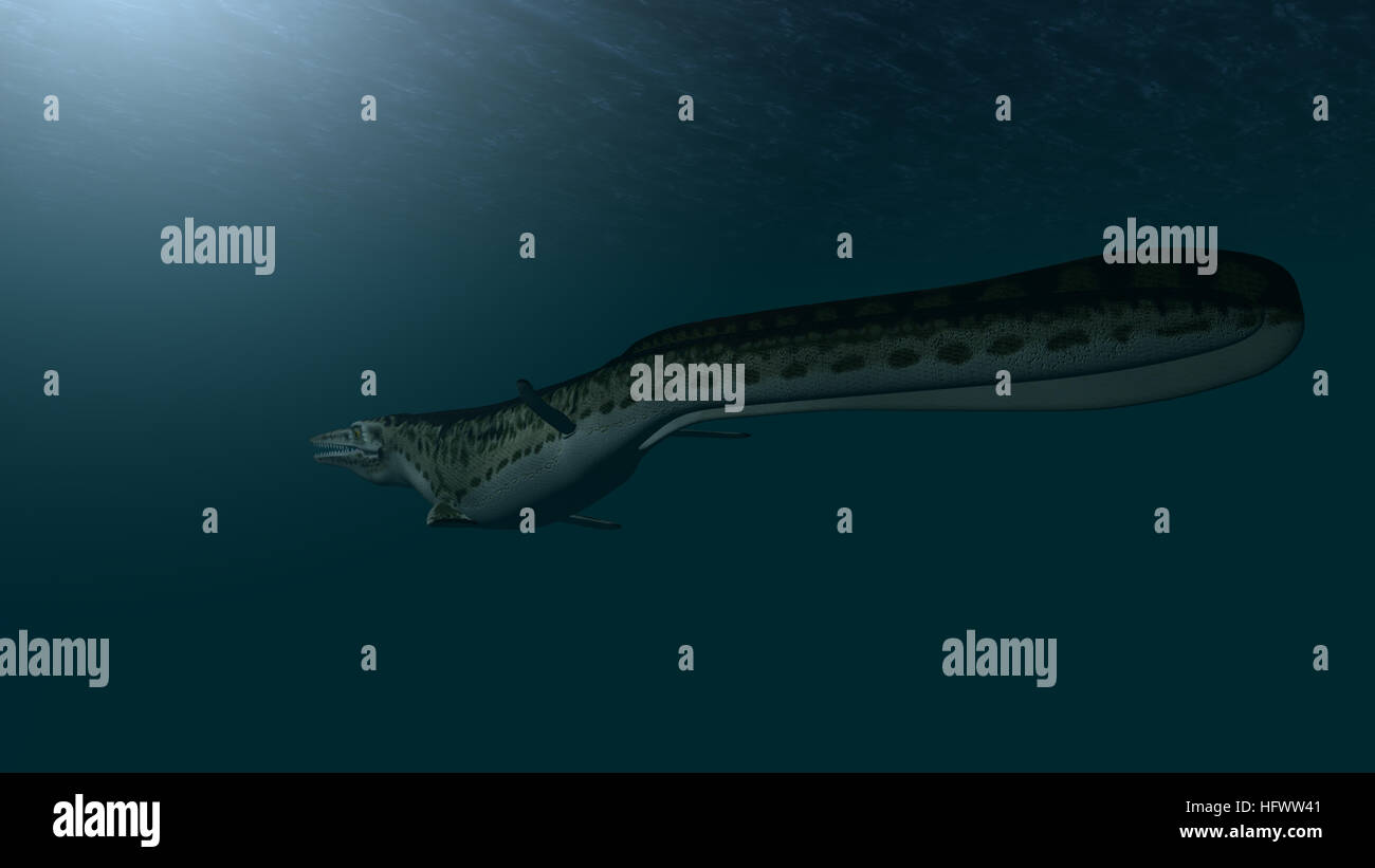 Mosasaurus Swimming High Resolution Stock Photography and Images - Alamy