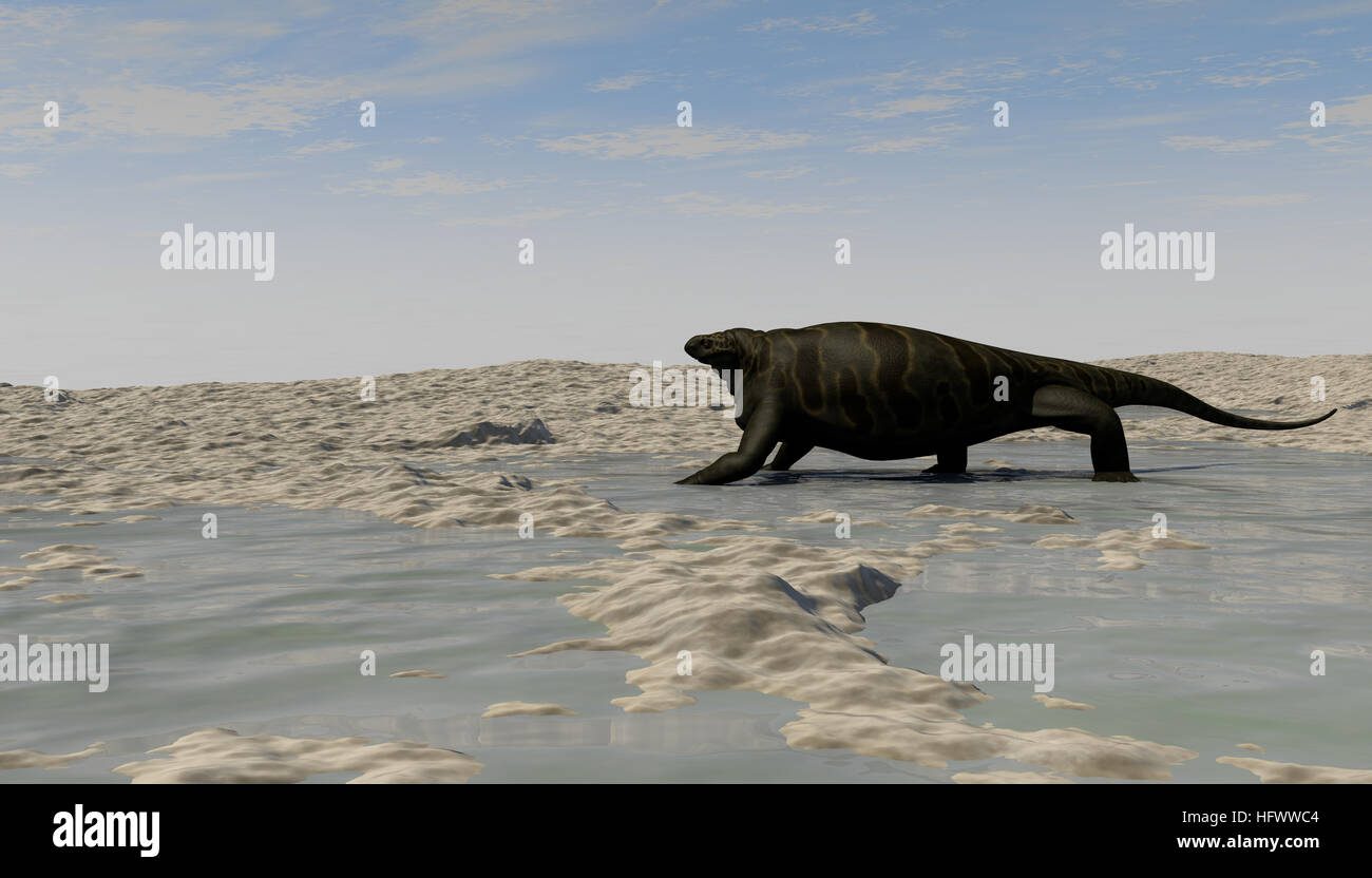 cotylorhynchus on shore Stock Photo - Alamy