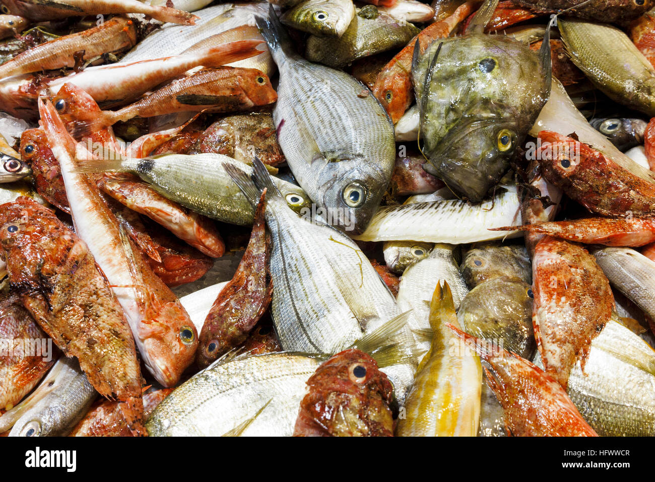 Fish for sale in the market at Palma, Mallorca Stock Photo - Alamy