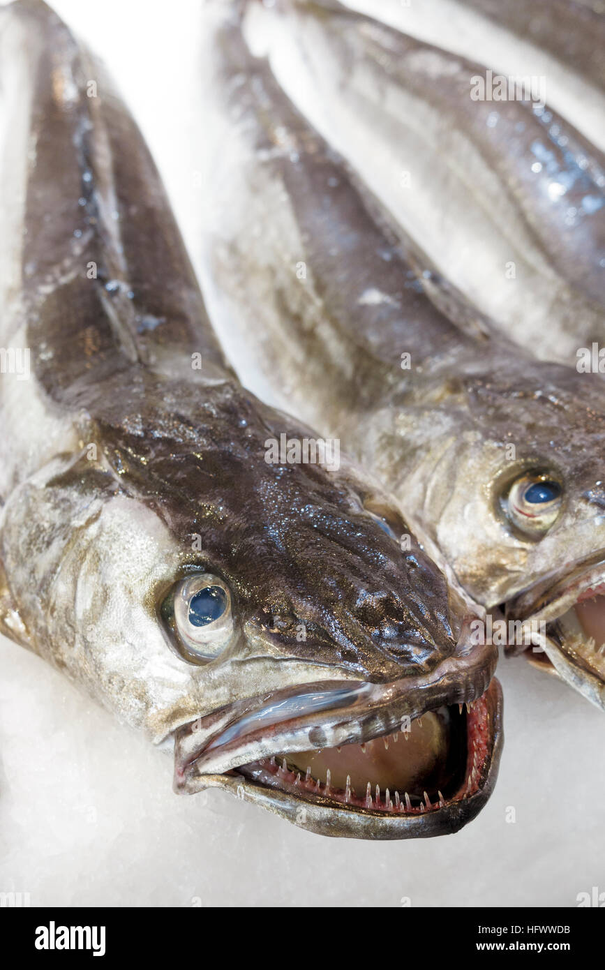 Palma Mallorca Produce High Resolution Stock Photography and Images - Alamy
