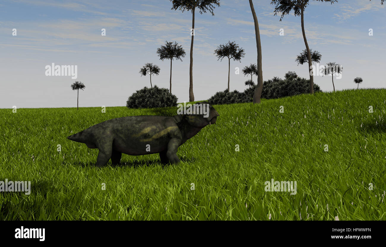lystrosaurus in grass field Stock Photo - Alamy