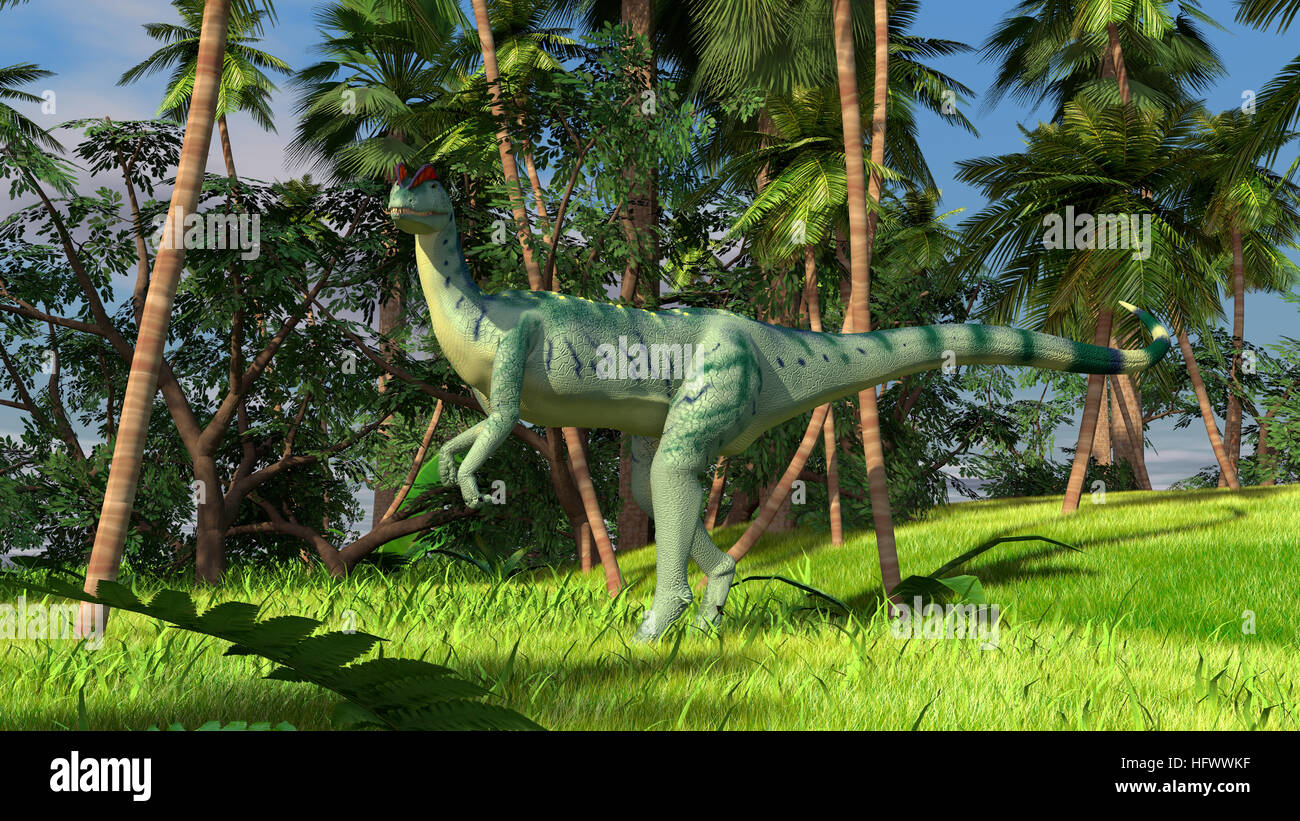Carnivorous dilophosaurus dinosaurs hi-res stock photography and images ...