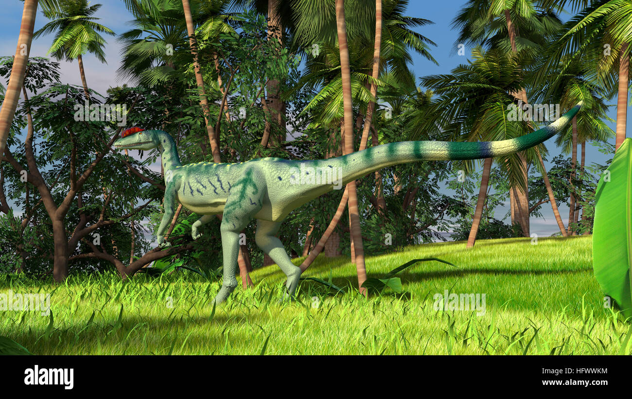 Carnivorous dilophosaurus dinosaurs hi-res stock photography and images ...