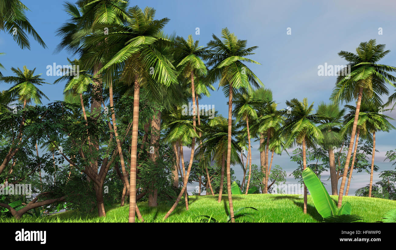 3d rendering of the palm grove Stock Photo - Alamy