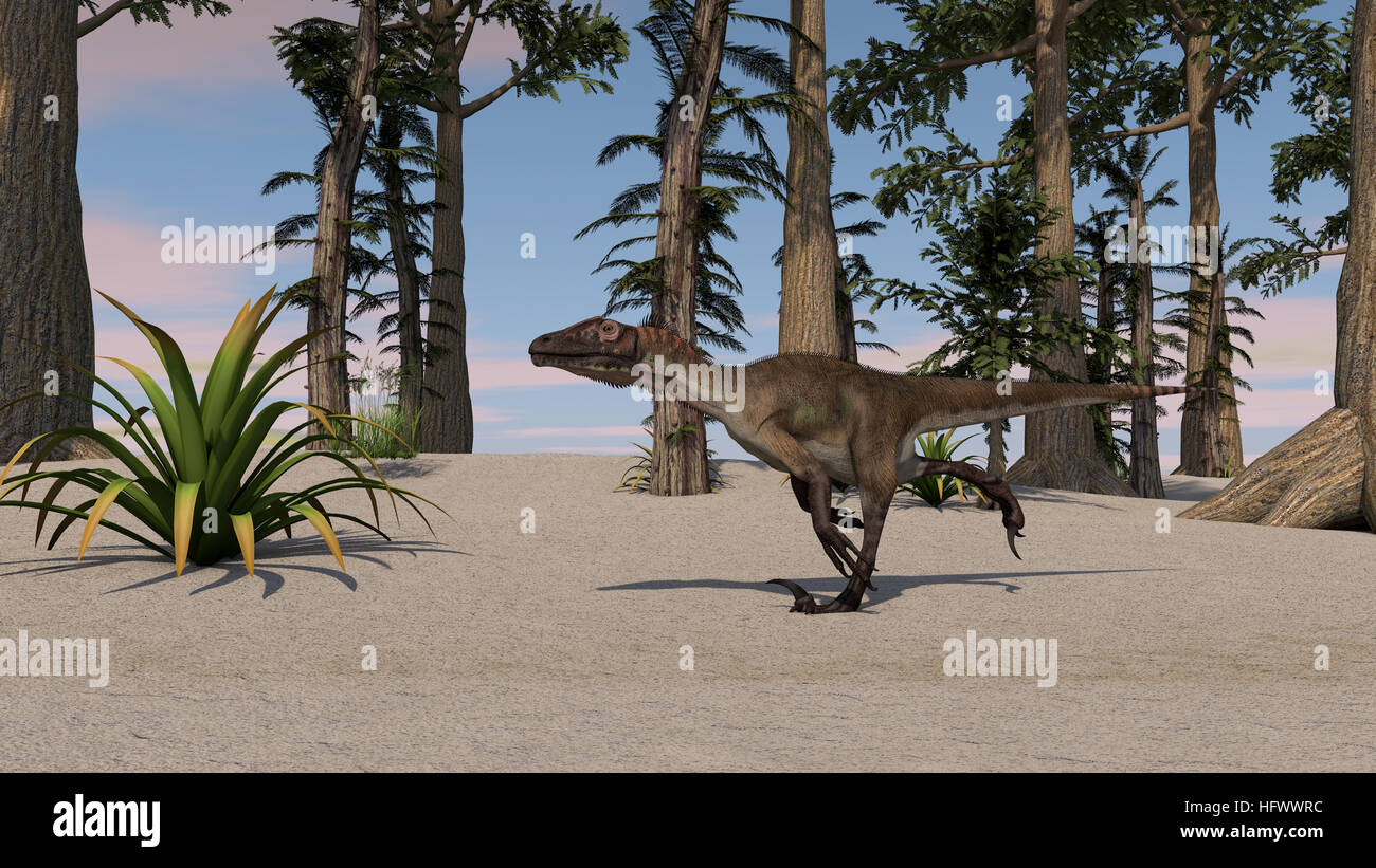 3d illustration of the hunting utahraptor dinosaurus Stock Photo - Alamy