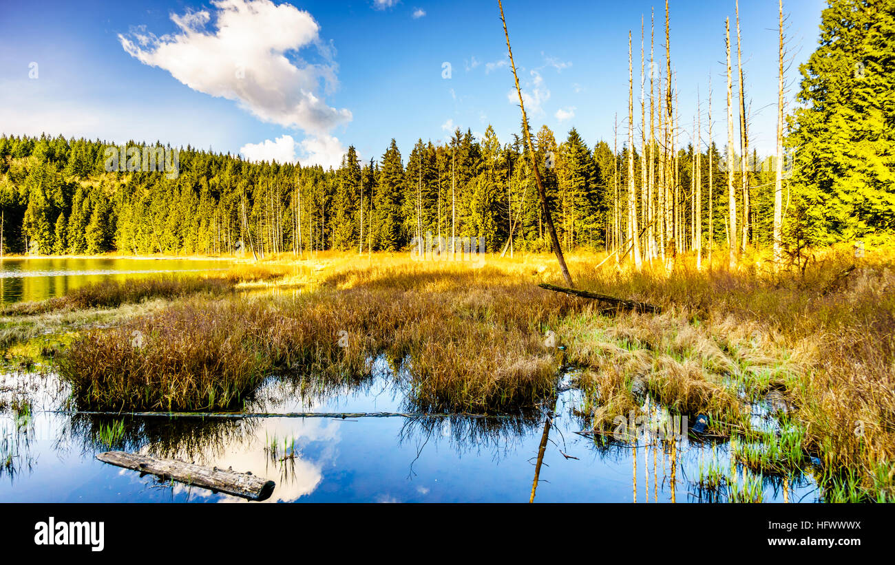 Famous Mike Lake in Golden Ears Provincial Park in beautiful British ...