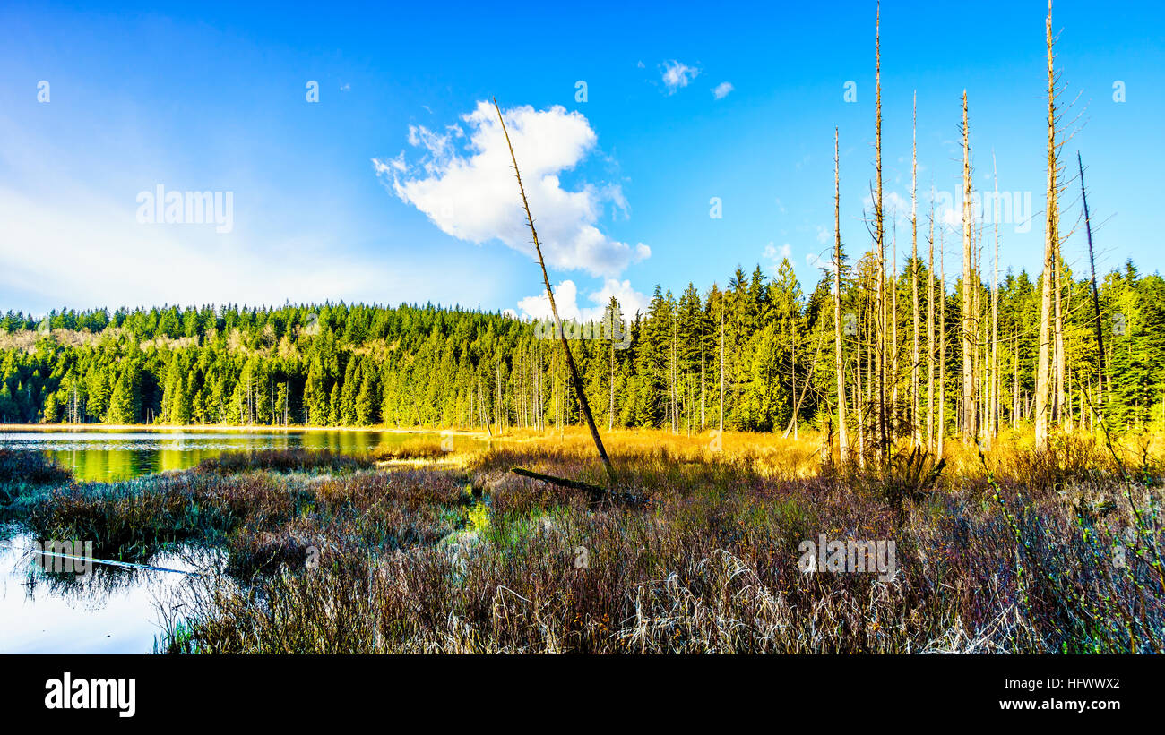 Famous Mike Lake in Golden Ears Provincial Park in beautiful British ...