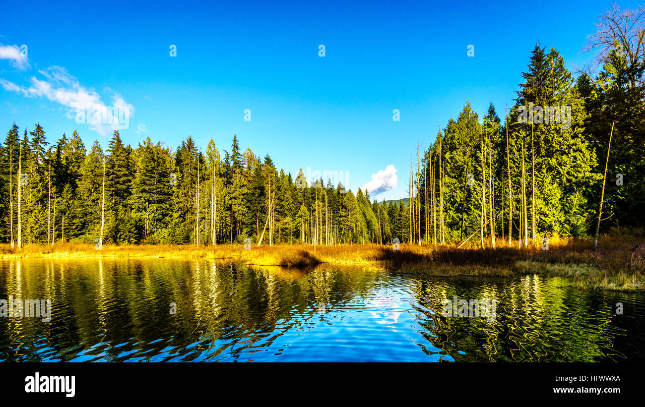 Famous Mike Lake in Golden Ears Provincial Park in beautiful British ...