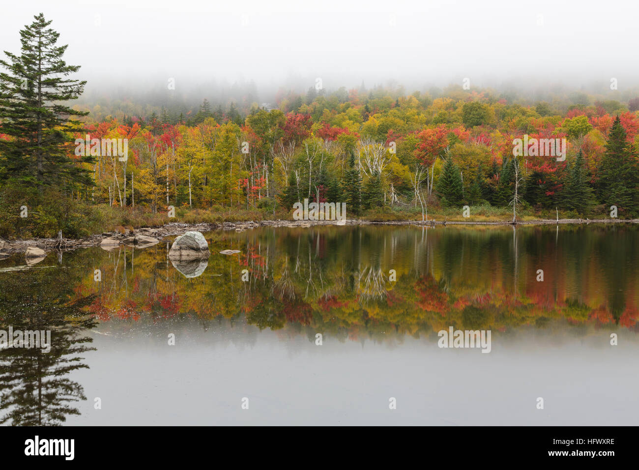 Wetlands along the Zealand Trail in Bethlehem, New Hampshire USA on a ...