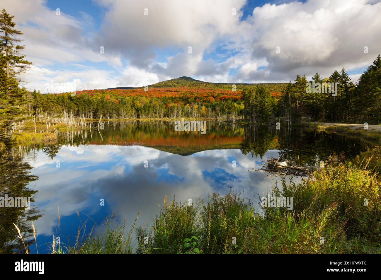 Reflection of autumn foliage on Mount Deception in a small pond along ...