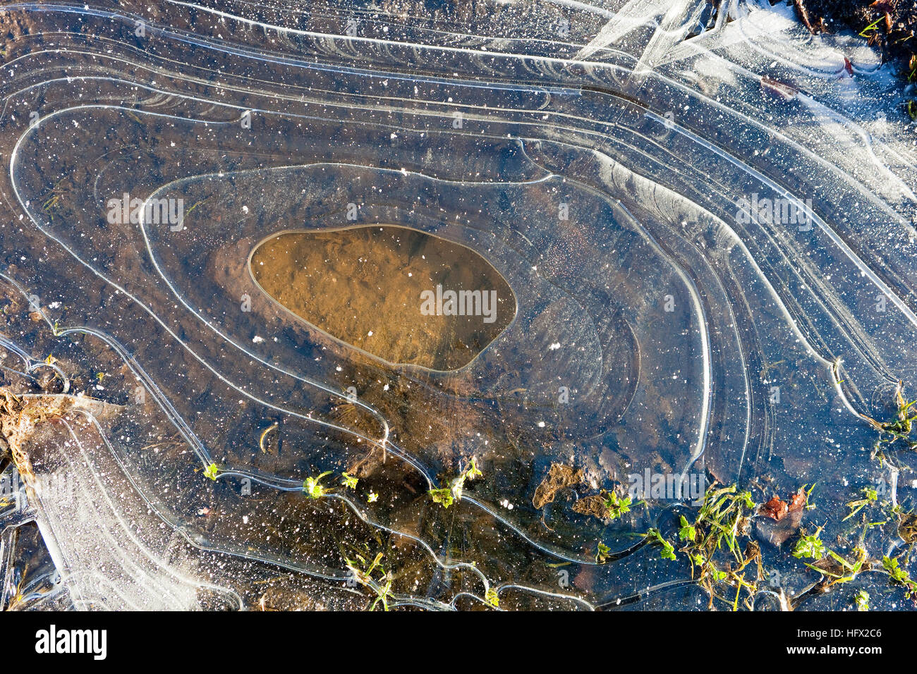 Abstract background with patterns, shapes and textures of a frozen ...