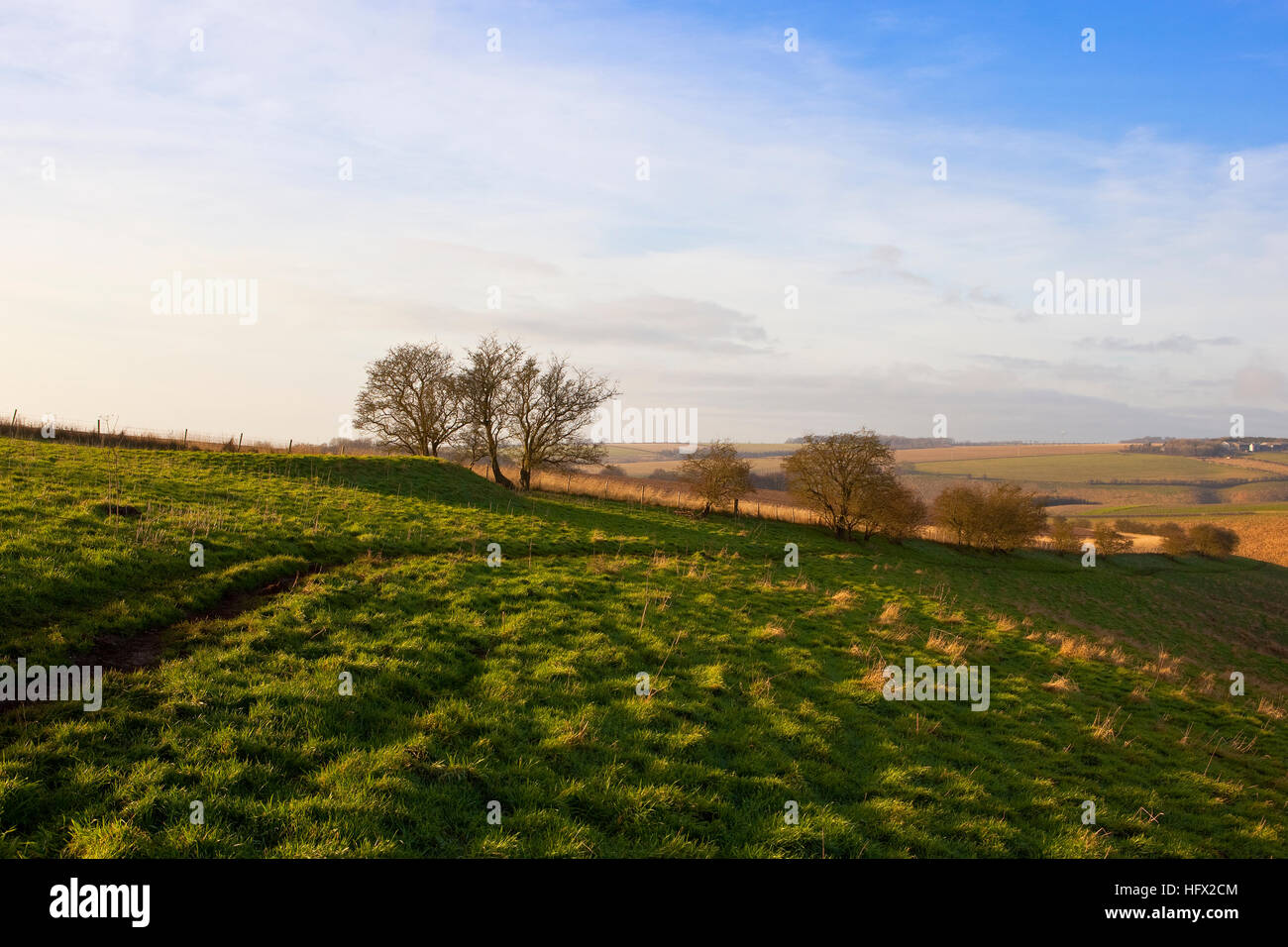 A footpath through a green meadow with a collapsed burial mound on a ...