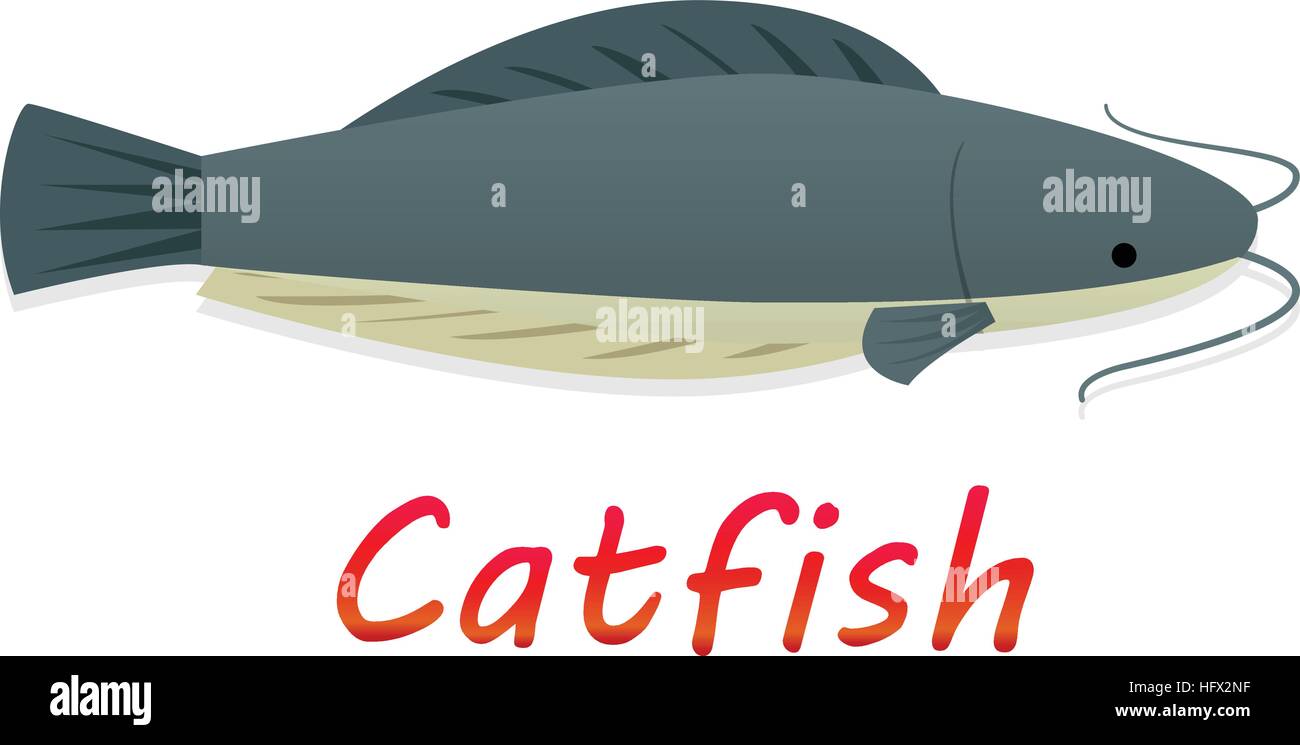 Cartoon catfish in flat style, vector design Stock Vector Image & Art ...